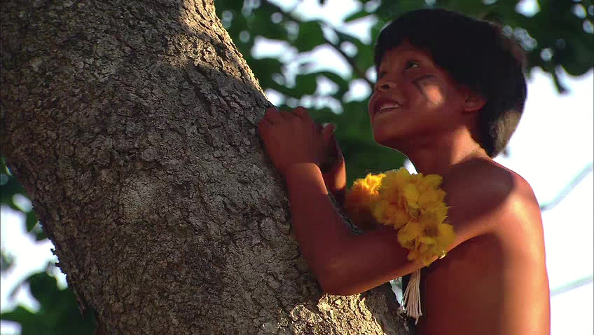 Амазония навсегда / Amazon Forever (2004) Франция, Бразилия BD-Rip ...